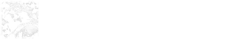 Keep Our Republic | Safeguarding American Democracy